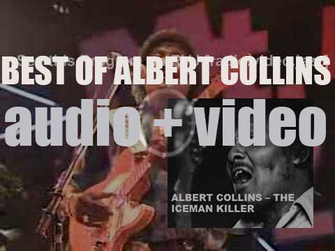Albert Collins | RadioVideo.Music