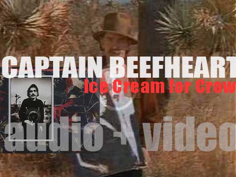 'Ice Cream for Crow' by Captain Beefheart & the Magic Band | RadioVideo ...