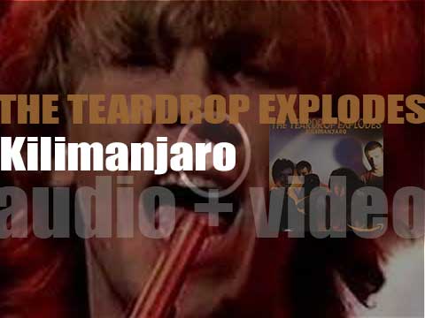 The Teardrop Explodes' 'Kilimanjaro' | RadioVideo.Music