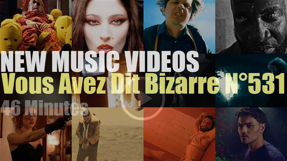 'Vous Avez Dit Bizarre' N°531 - New Music Videos | RadioVideo.Music